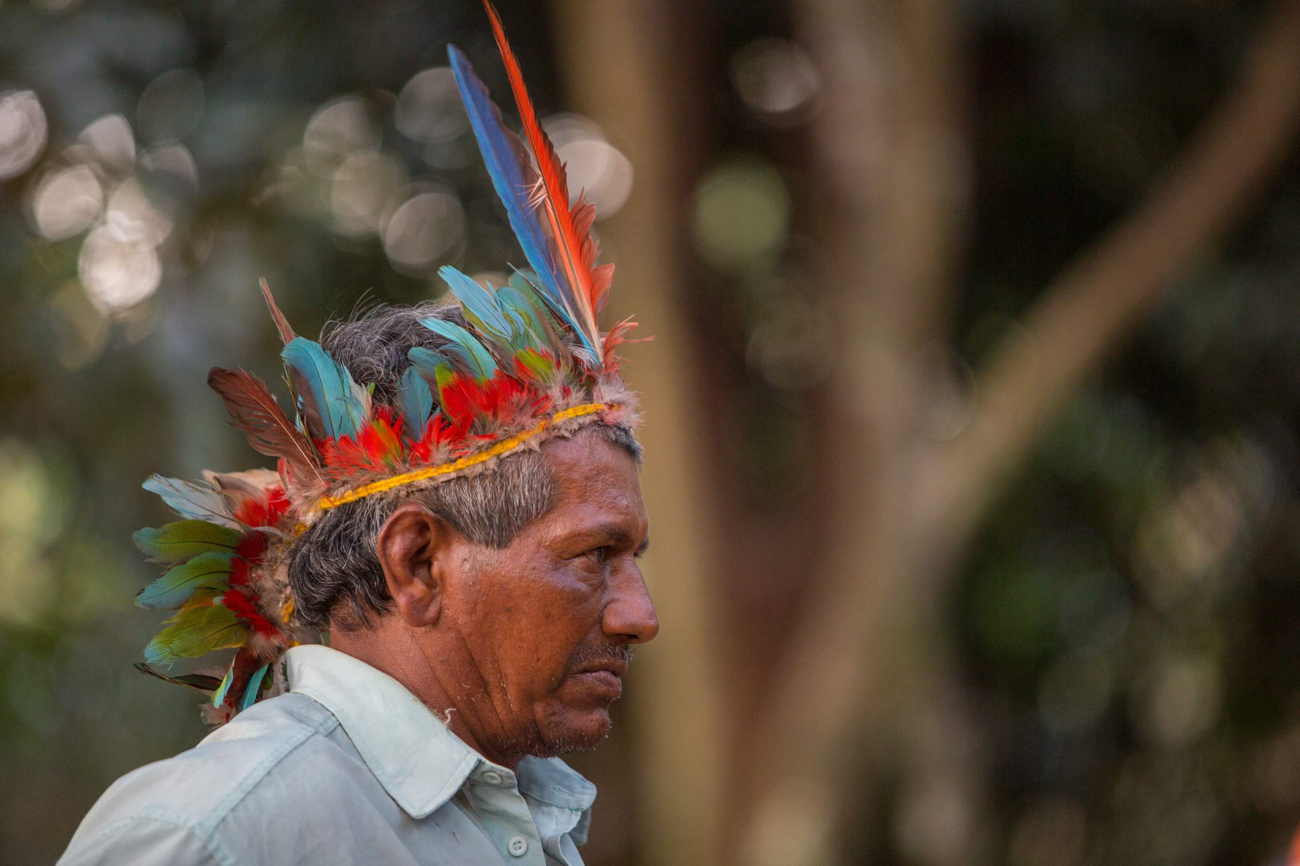 Les Guaranis face aux multinationales