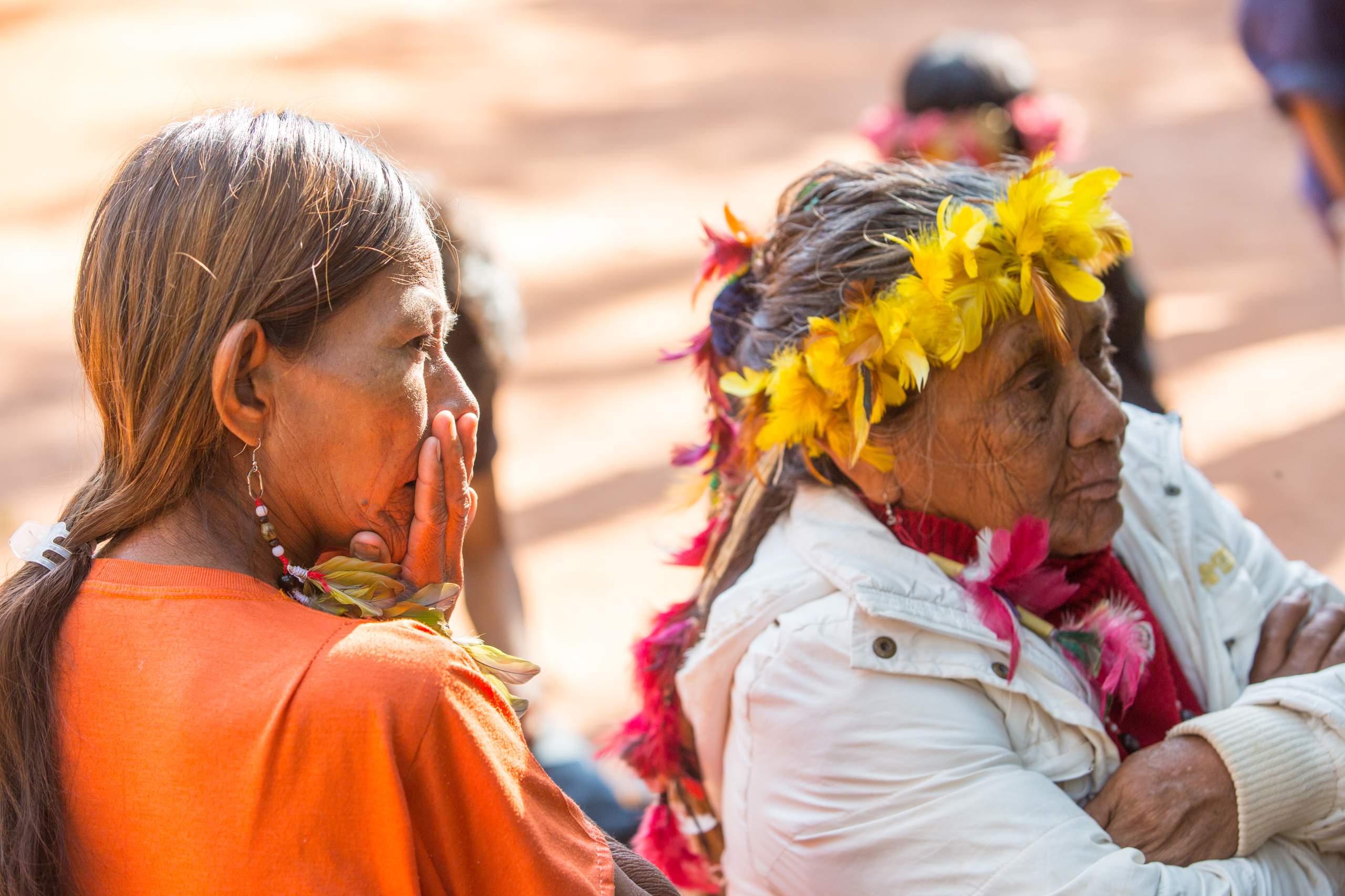 Les Guaranis face aux multinationales